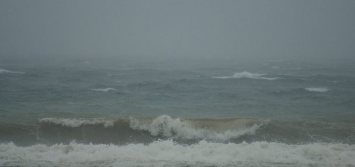 December 19, 2014 News from the Philippines