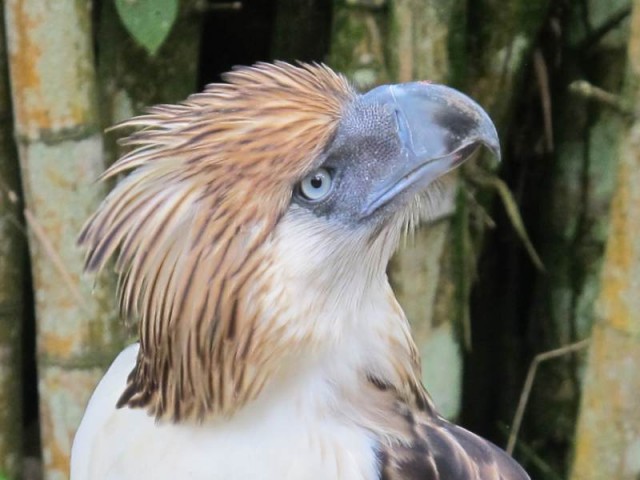 East Mindanao Discovery Trip (5) – Davao News from the Philippines