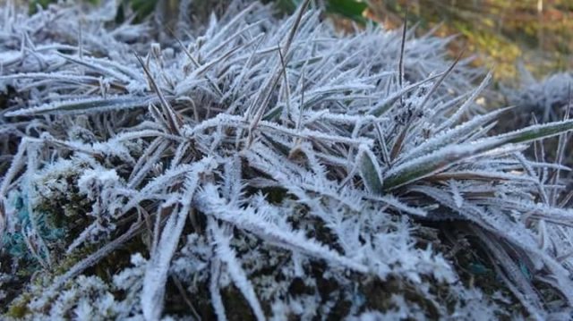 Philippines Cold Weather – Strong Amihan Freezes Cordillera Mountains ...