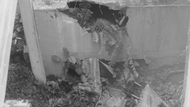 The Real Philippine Zombies News from the Philippines