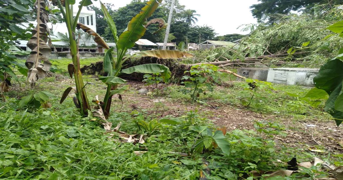 Roaring Habagat – the Philippines under Siege News from the Philippines