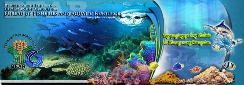 Shellfish Bulletin Series of 2020 – 15 January 2020 – WARNING – News ...